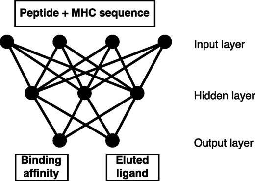 NetMHCpan-4.0: Improved Peptide–MHC Class I Interaction Predictions Integrating Eluted Ligand ...