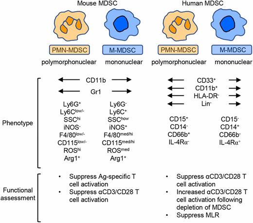 Myeloid-Derived Suppressor Cells: Immune-Suppressive Cells That Impair ...