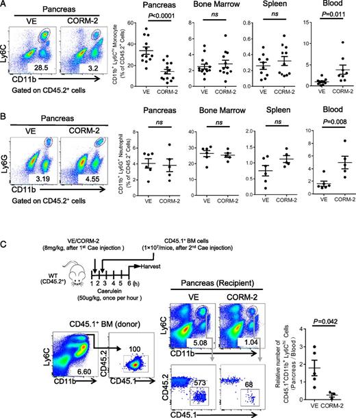 Carbon Monoxide Impairs CD11b+Ly-6Chi Monocyte Migration from the Blood ...