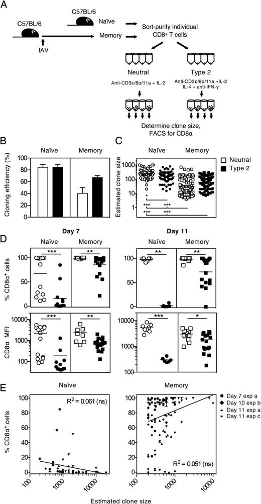 Limited Phenotypic And Functional Plasticity Of Influenza Virus