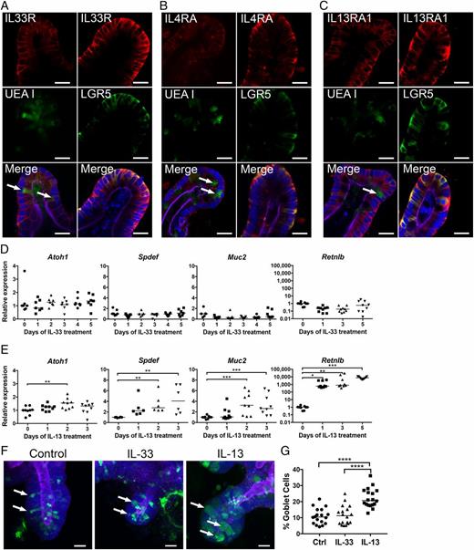 IL-33 Induces Murine Intestinal Goblet Cell Differentiation Indirectly ...