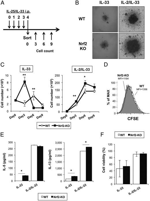 Nrf2 Suppresses Allergic Lung Inflammation By Attenuating The Type 2