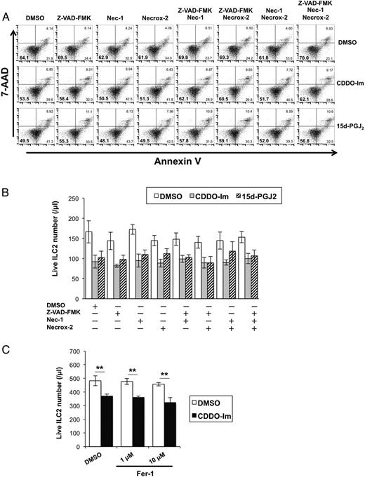 Nrf2 Suppresses Allergic Lung Inflammation By Attenuating The Type 2