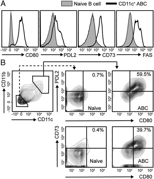 Functional Characterization of CD11c+ Age-Associated B Cells as Memory ...