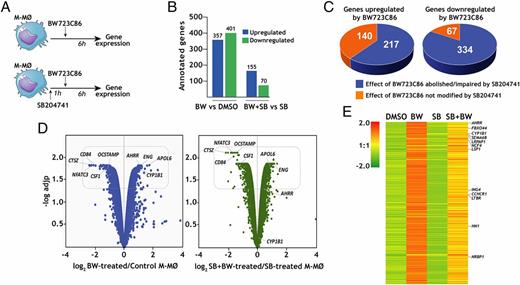 Serotonin (5-HT) Shapes the Macrophage Gene Profile through the 5-HT2B ...