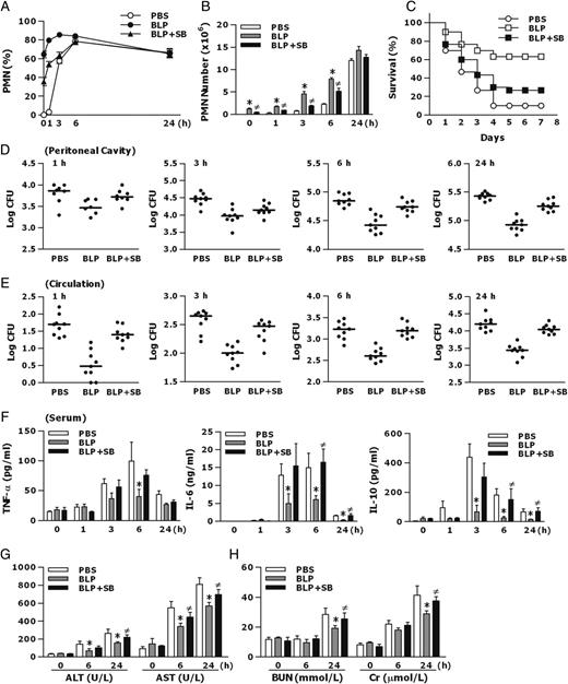 an-early-neutrophil-recruitment-into-the-infectious-site-is-critical