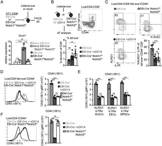GCNT1-Mediated O-Glycosylation of the Sialomucin CD43 Is a Sensitive ...