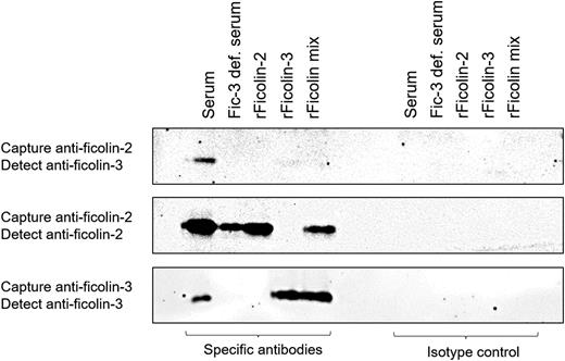 Circulating Ficolin-2 and Ficolin-3 Form Heterocomplexes | The Journal ...
