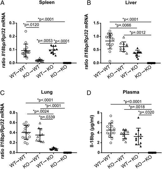 Production of IL-18 Binding Protein by Radiosensitive and ...