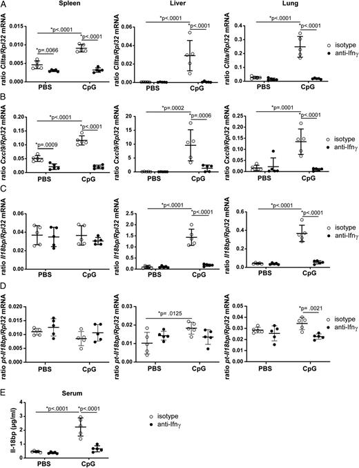 Production of IL-18 Binding Protein by Radiosensitive and ...