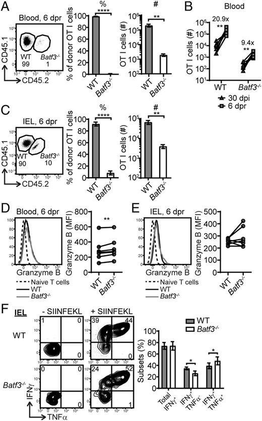 Cutting Edge: Batf3 Expression by CD8 T Cells Critically Regulates the ...
