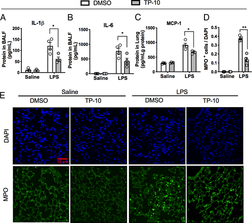 Phosphodiesterase 10A Is a Key Mediator of Lung Inflammation | The ...