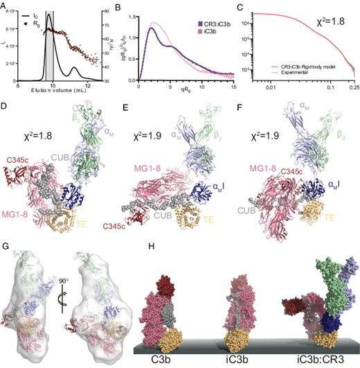 Complement Receptor 3 Forms a Compact High-Affinity Complex with iC3b ...