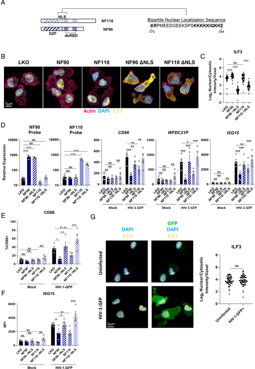ILF3 Is a Negative Transcriptional Regulator of Innate Immune Responses ...