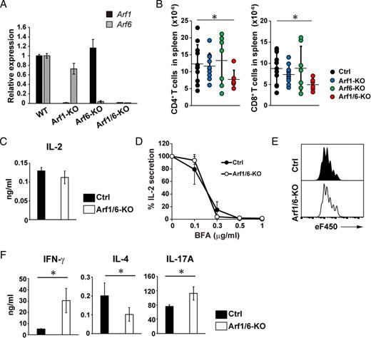 Arf1 and Arf6 Synergistically Maintain Survival of T Cells during ...