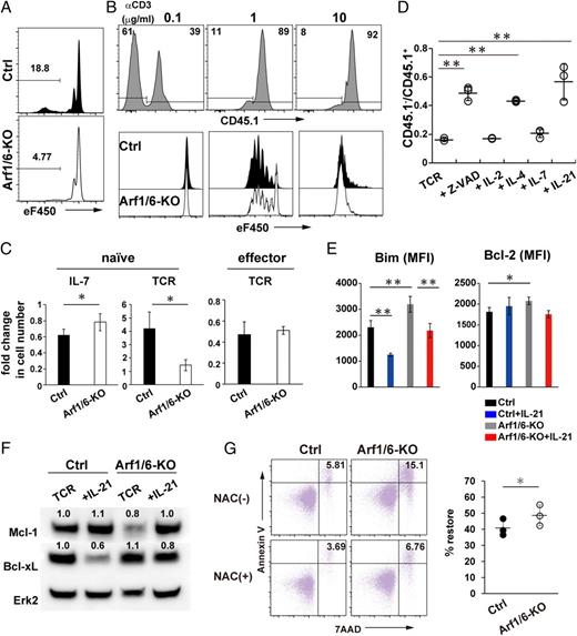 Arf1 and Arf6 Synergistically Maintain Survival of T Cells during ...