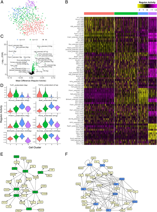 Self-Renewing Islet TCF1+ CD8 T Cells Undergo IL-27–Controlled ...