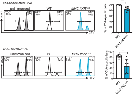 MHC Class II Ubiquitination Regulates Dendritic Cell Function and ...