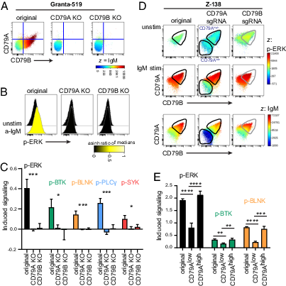 Mechanism of CD79A and CD79B Support for IgM+ B Cell Fitness through B ...