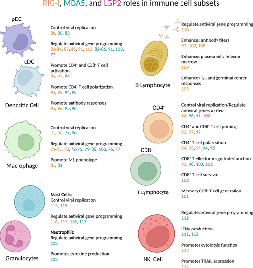 RIG-I–like Receptor Regulation of Immune Cell Function and Therapeutic ...