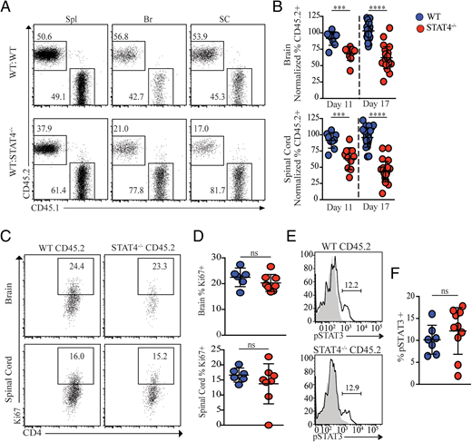 Intrinsic STAT4 Expression Controls Effector CD4 T Cell Migration and ...