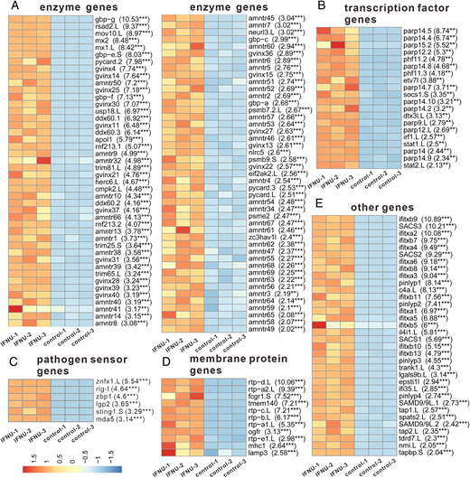 Transcriptional Regulation and Signaling of Type IV IFN with ...