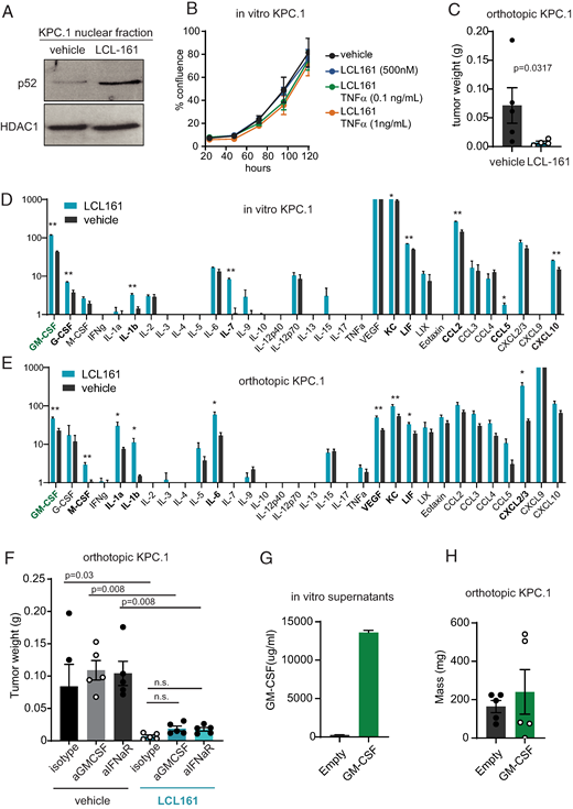 cIAP1/2 Antagonism Induces Antigen-Specific T Cell–Dependent Immunity ...