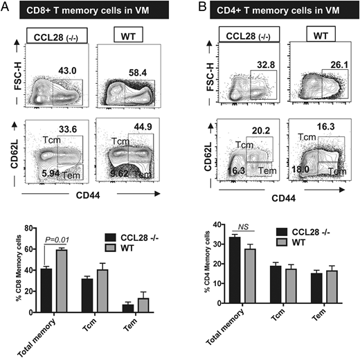 Mucosal CCL28 Chemokine Improves Protection against Genital Herpes ...
