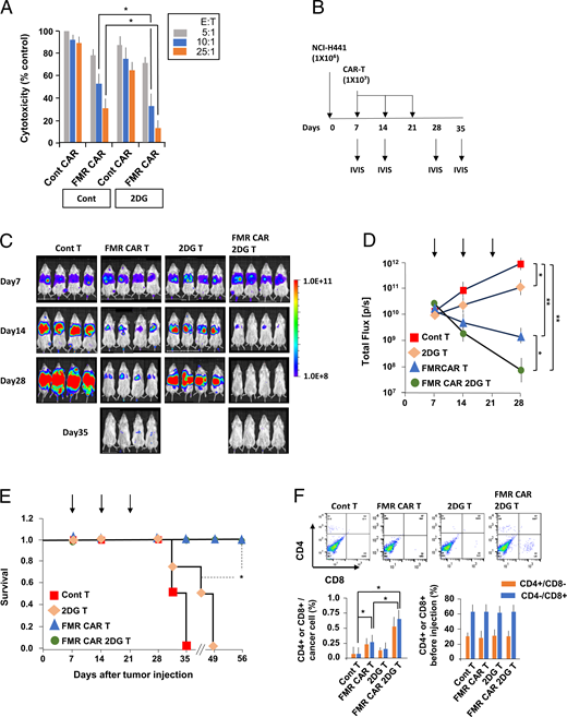 Efficacy against Lung Cancer Is Augmented by Combining Aberrantly N ...