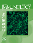 MHC Class I Peptide Binding and Tapasin | The Journal of Immunology ...