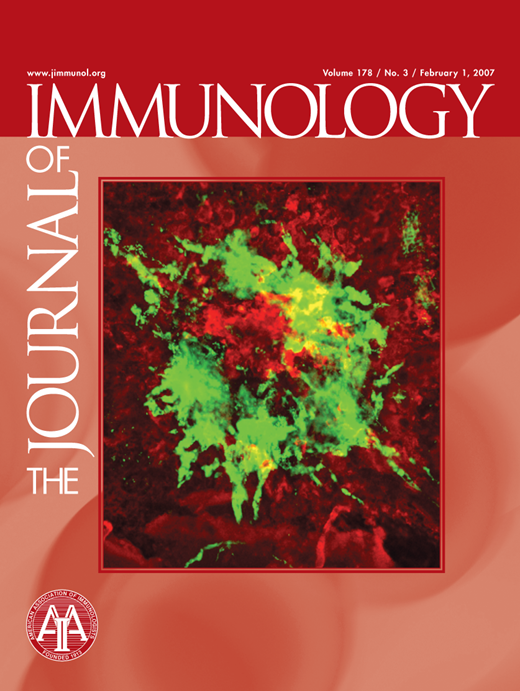 B7-DC/PD-L2 Cross-Linking Induces NF-κB-Dependent Protection of ...