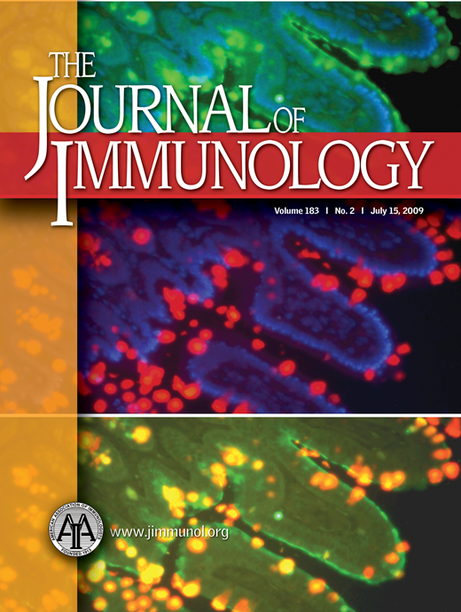 Lentivector immunization stimulates potent CD8 T cell responses against ...