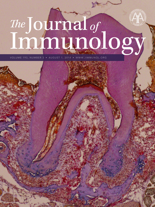 Correction: Chimeric NKG2D Expressing T Cells Eliminate ...