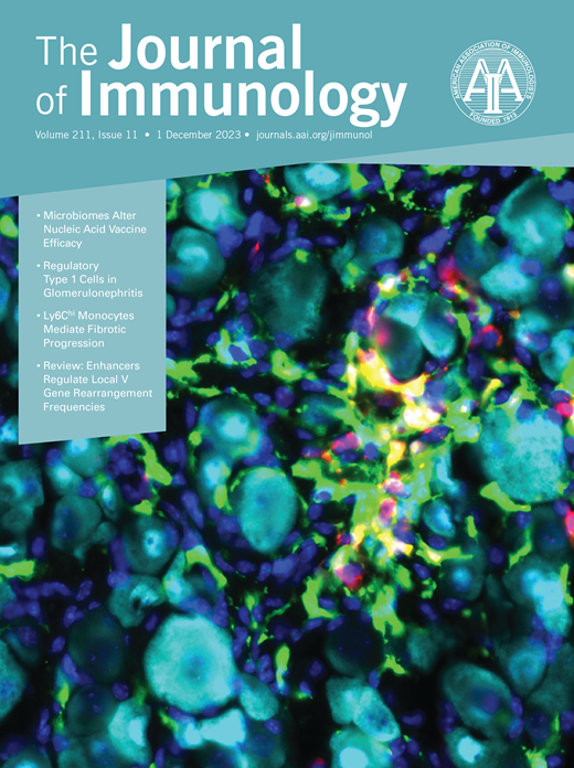 The Influence of Human IgG Subclass and Allotype on Complement ...